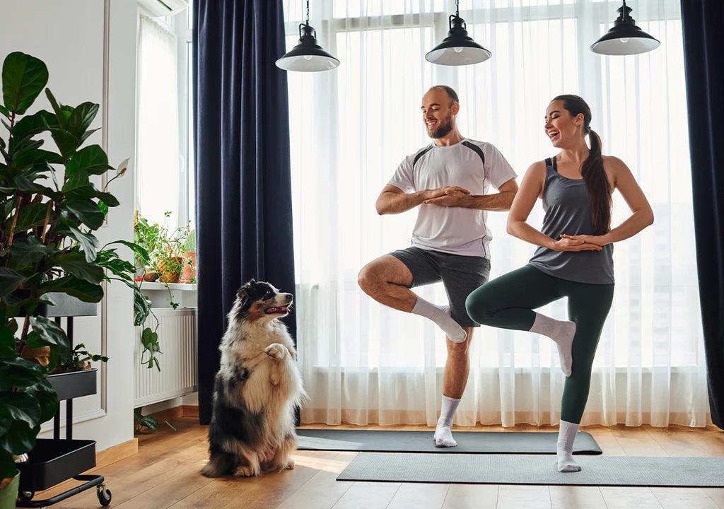 Dive into a Wild World of Fitness: The Protein-Powered Superhero Regim ...